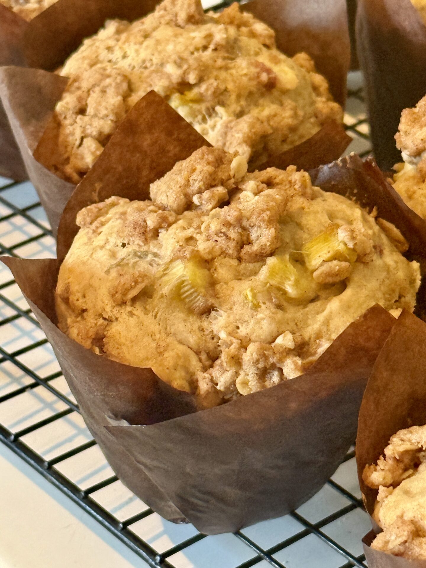 Sourdough Rhubarb Muffins - Vintage Baked Modern